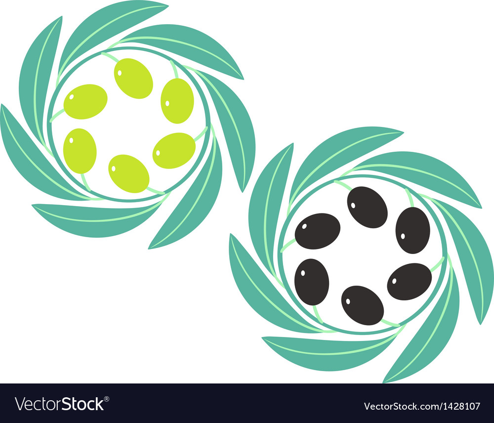 Olive Royalty Free Vector Image - VectorStock