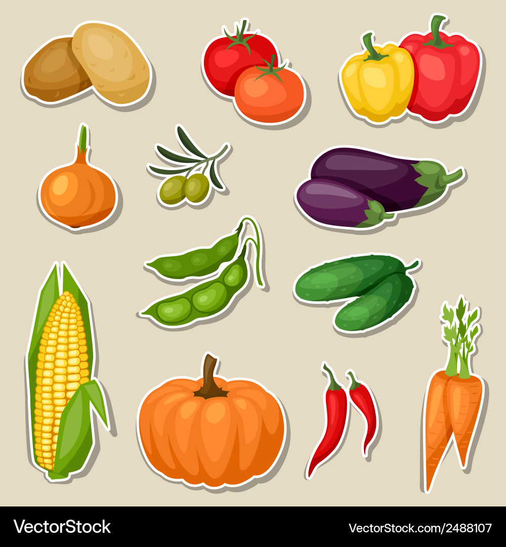 Sticker icon set fresh ripe stylized vegetables Vector Image