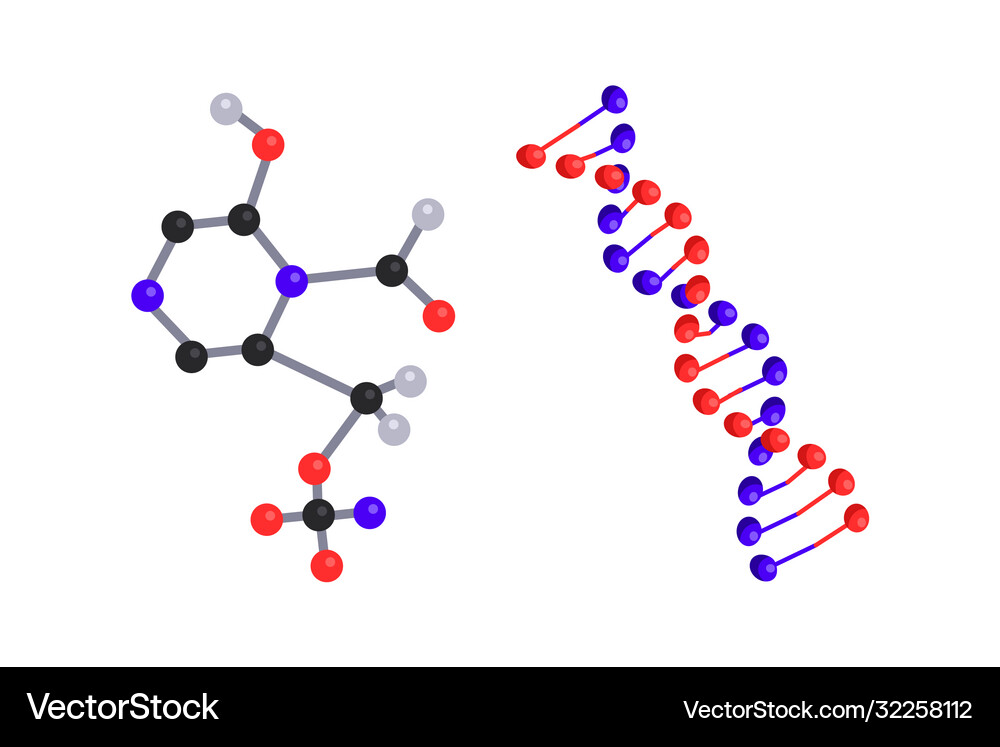 Chemical molecules and bonds dna chain on white Vector Image