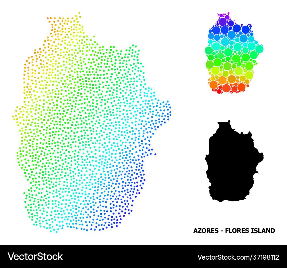 Mesh polygonal map azores - flores island Vector Image