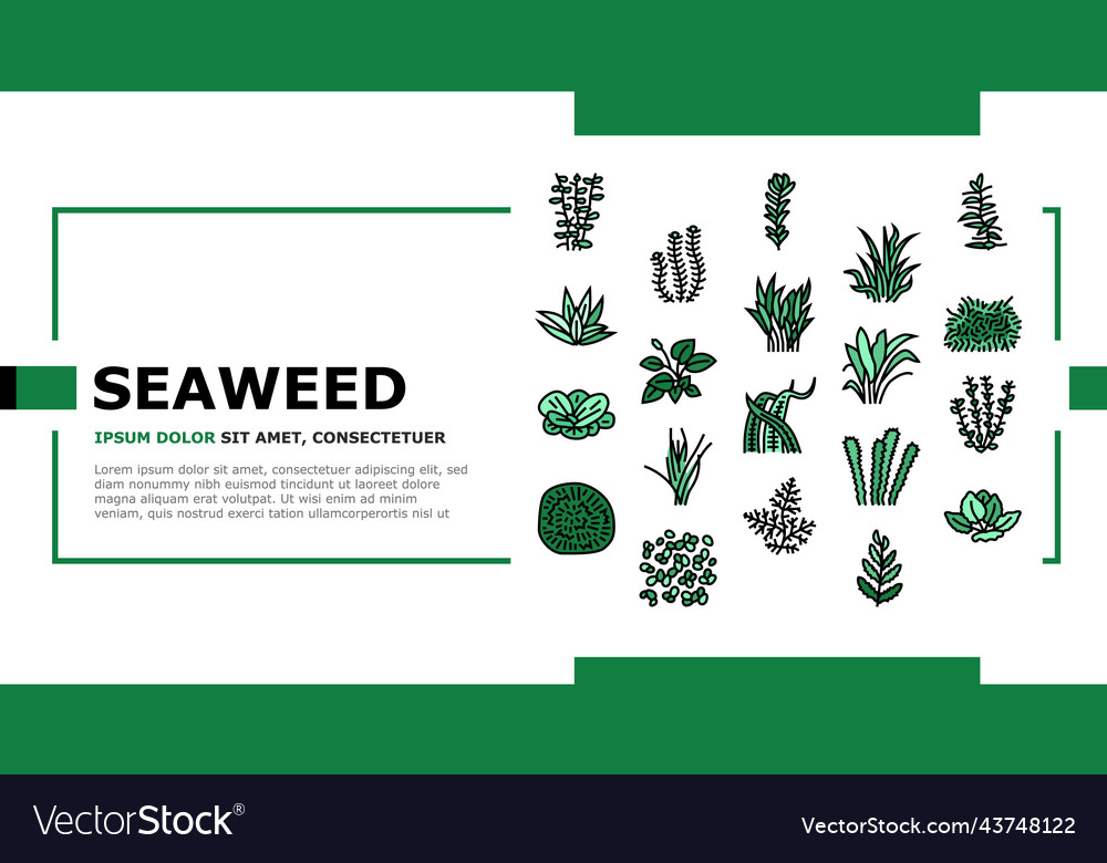 Aquatic seaweed natural plant landing header Vector Image
