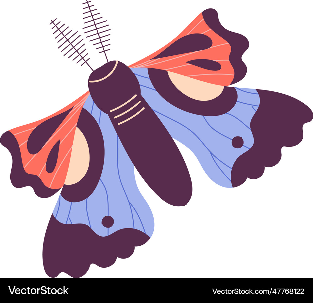Butterfly fluttering with open wings closeup Vector Image
