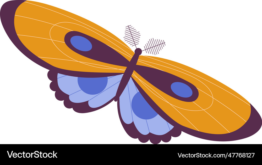 Butterfly fluttering with open wings closeup Vector Image