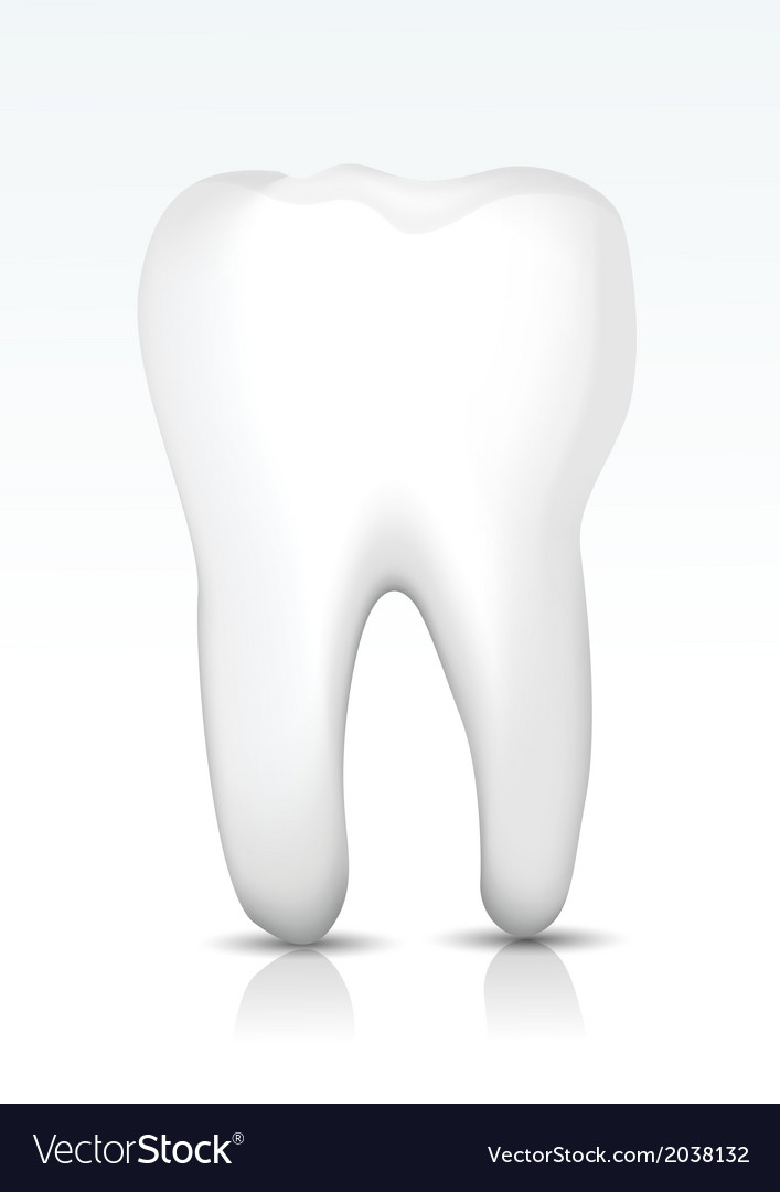 Tooth Royalty Free Vector Image - VectorStock