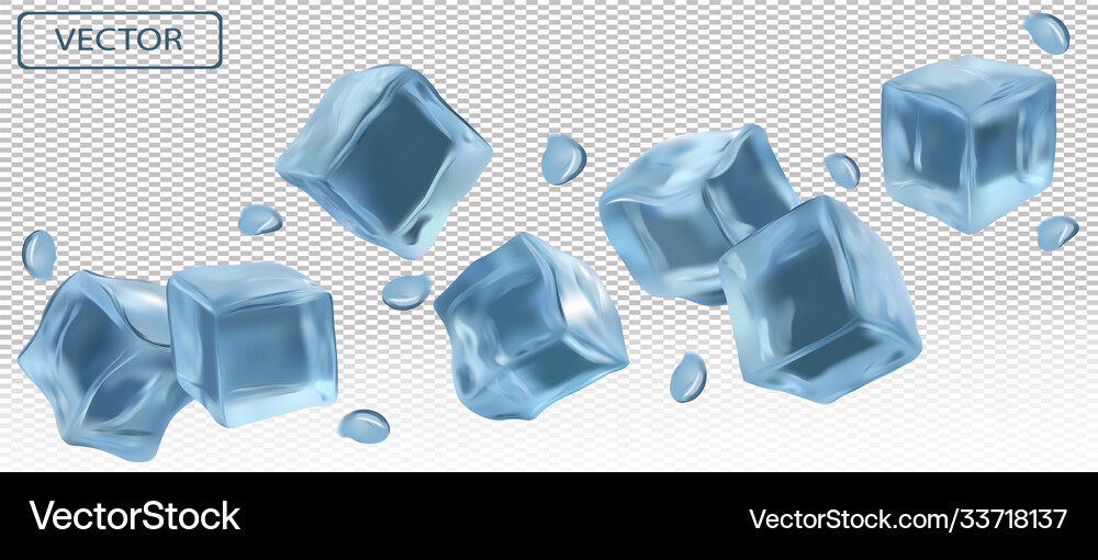 Ice cubes with water drops on transparent Vector Image