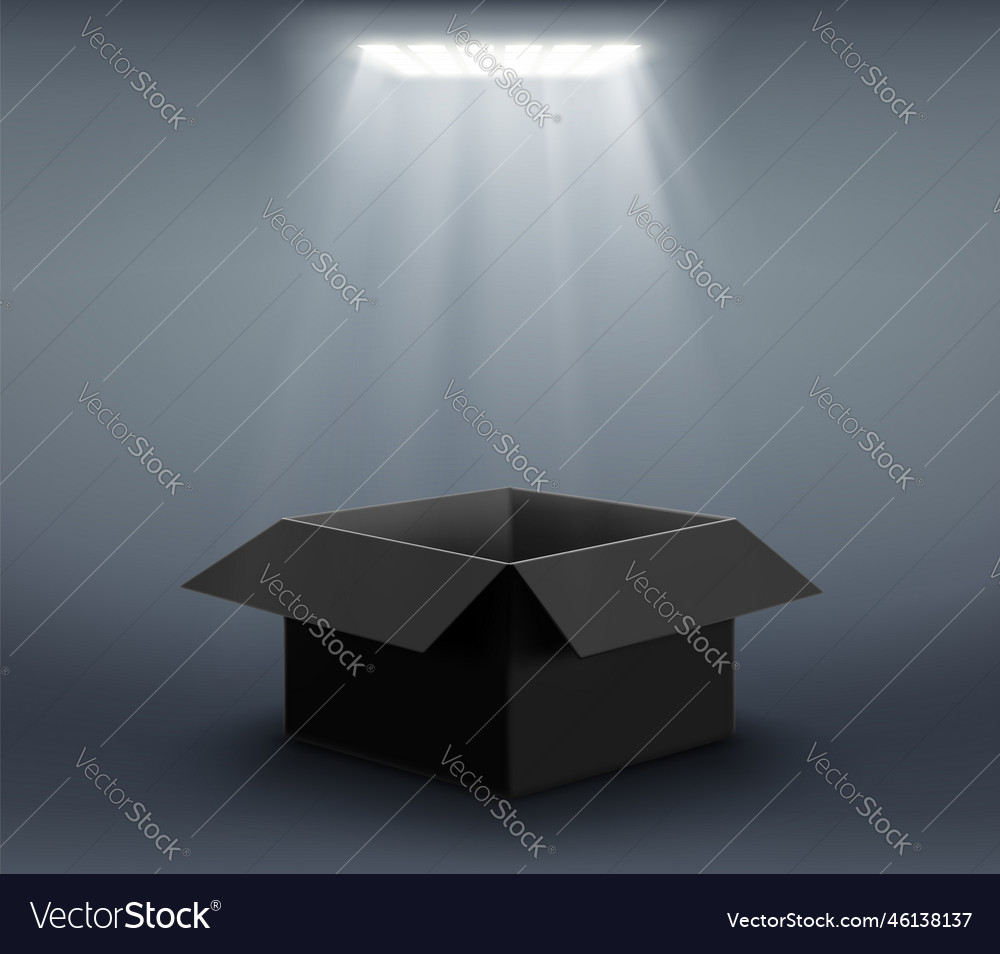 Open black cardboard box illuminated Royalty Free Vector