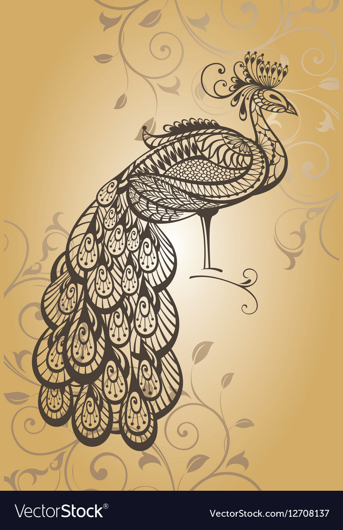 Peacock Royalty Free Vector Image - VectorStock
