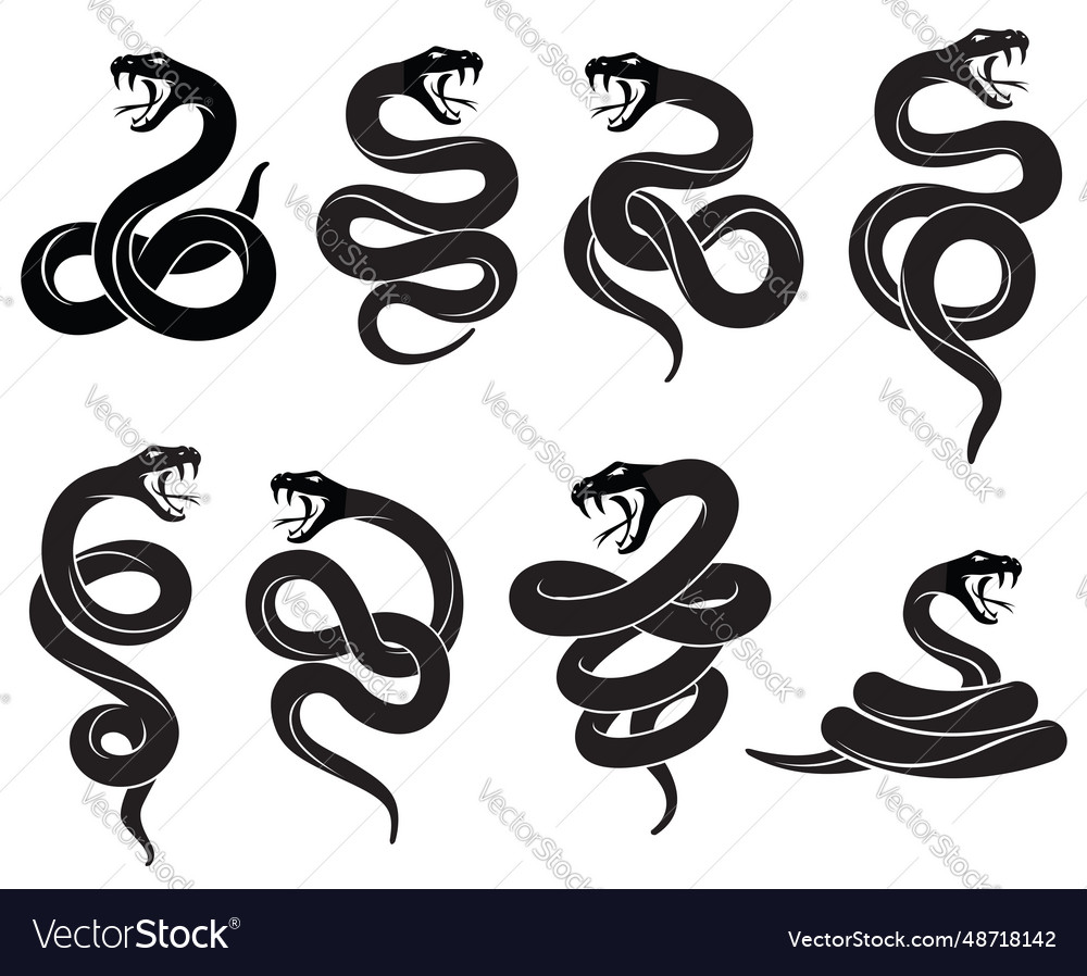 Collection of snakes Royalty Free Vector Image