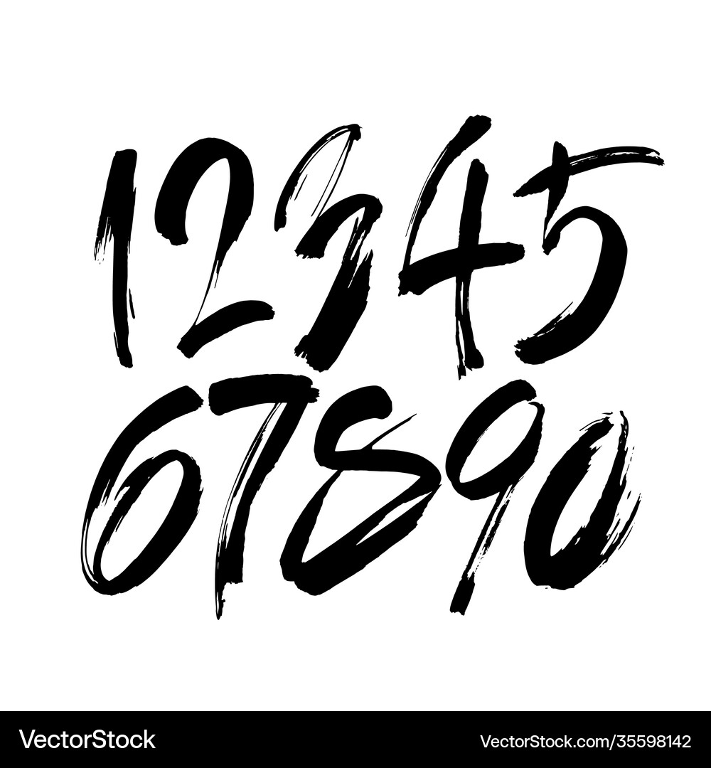 Set calligraphic acrylic or ink numbers abc Vector Image
