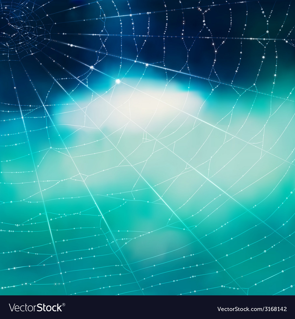 Spiderweb Royalty Free Vector Image - VectorStock