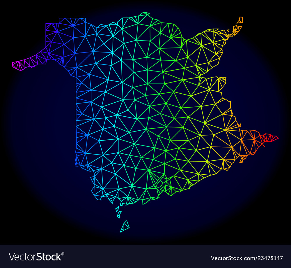 Polygonal carcass rainbow mesh map of new Vector Image