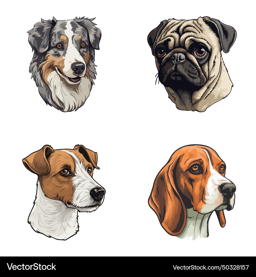 Dogs2 flat icon set isolated on white background Vector Image