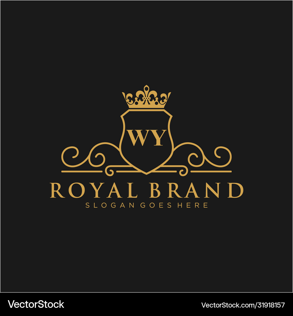 Wy letter initial luxurious brand logo template Vector Image