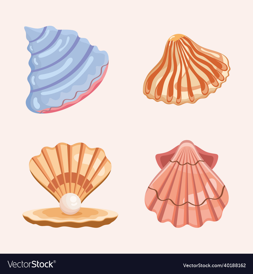Four sea shells icons Royalty Free Vector Image