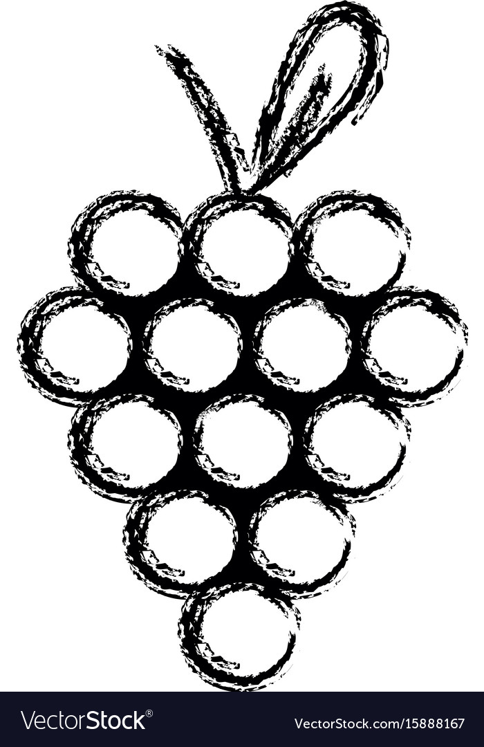 Figure delicious grape fruit with vitamins Vector Image