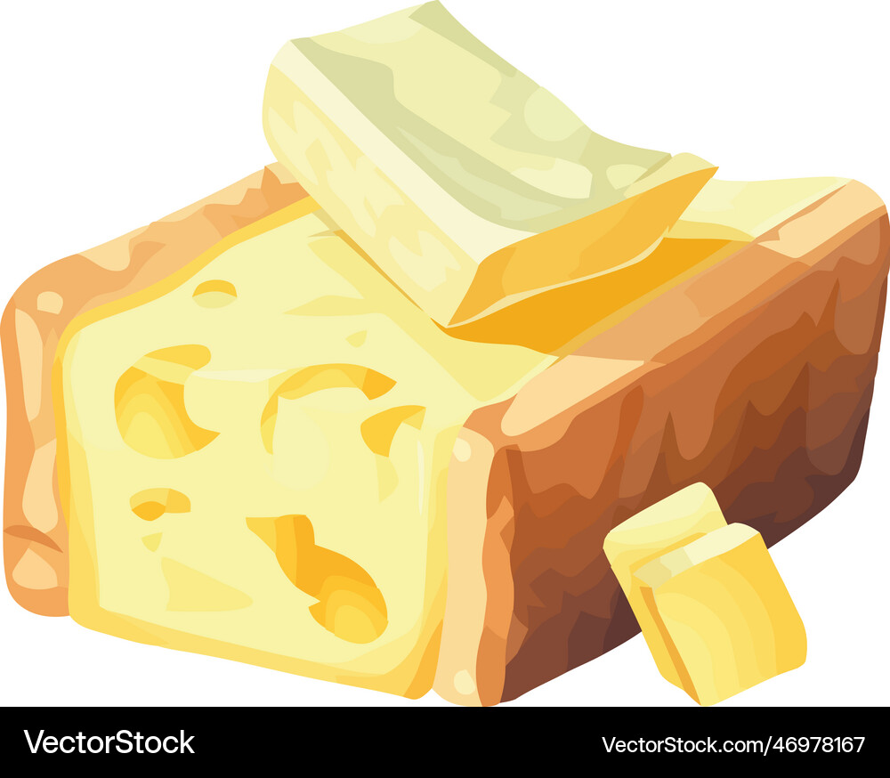 Fresh organic snack a slice of bread Royalty Free Vector