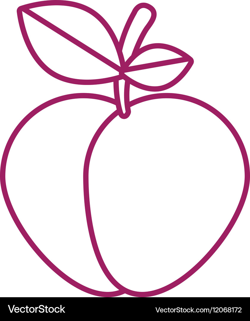 Contour purple line with apple Royalty Free Vector Image