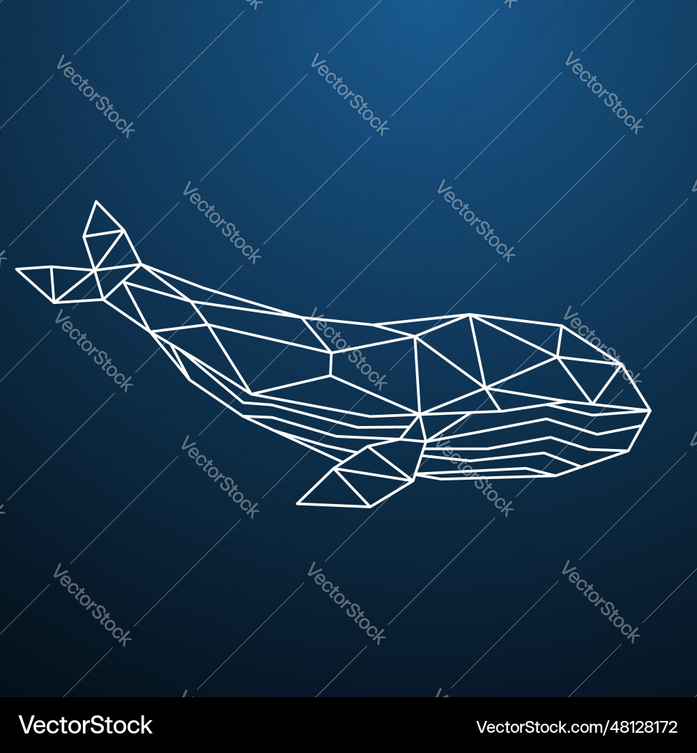 Geometric whale design wild ocean animal Vector Image