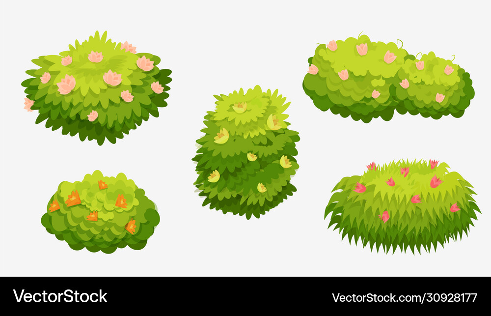 Green bushes with various flowers Royalty Free Vector Image