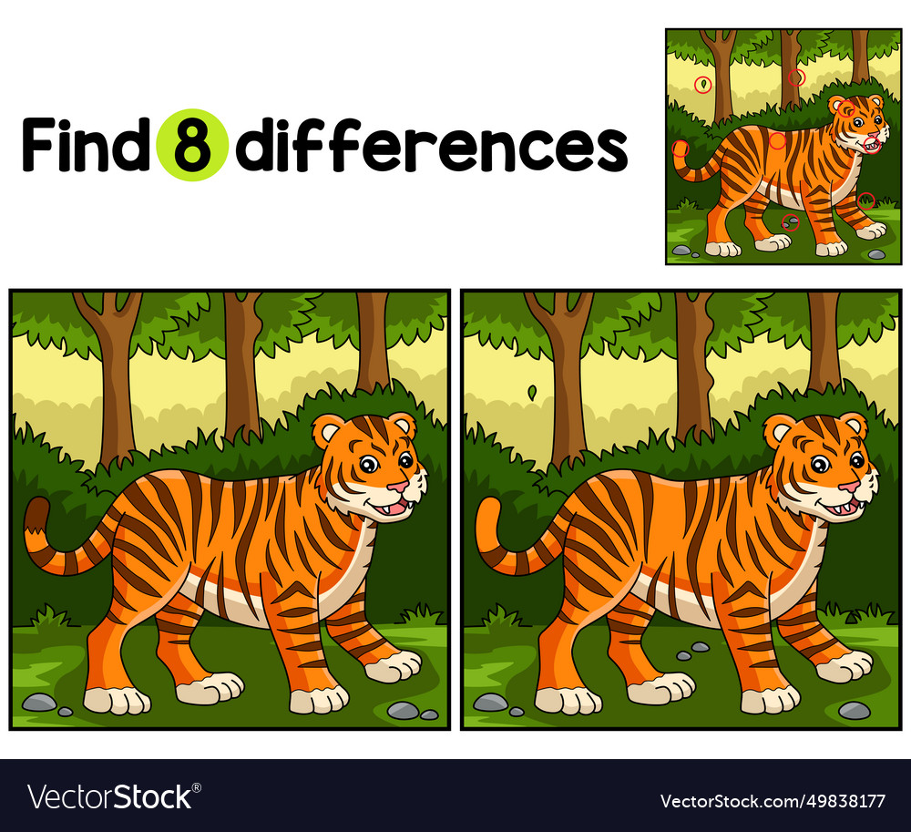 Tiger animal find the differences Royalty Free Vector Image