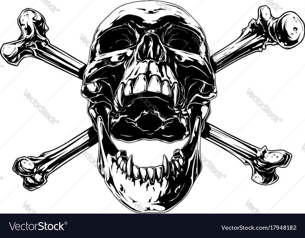 How To Draw A Realistic Skull And Crossbones The Bone Should Be 