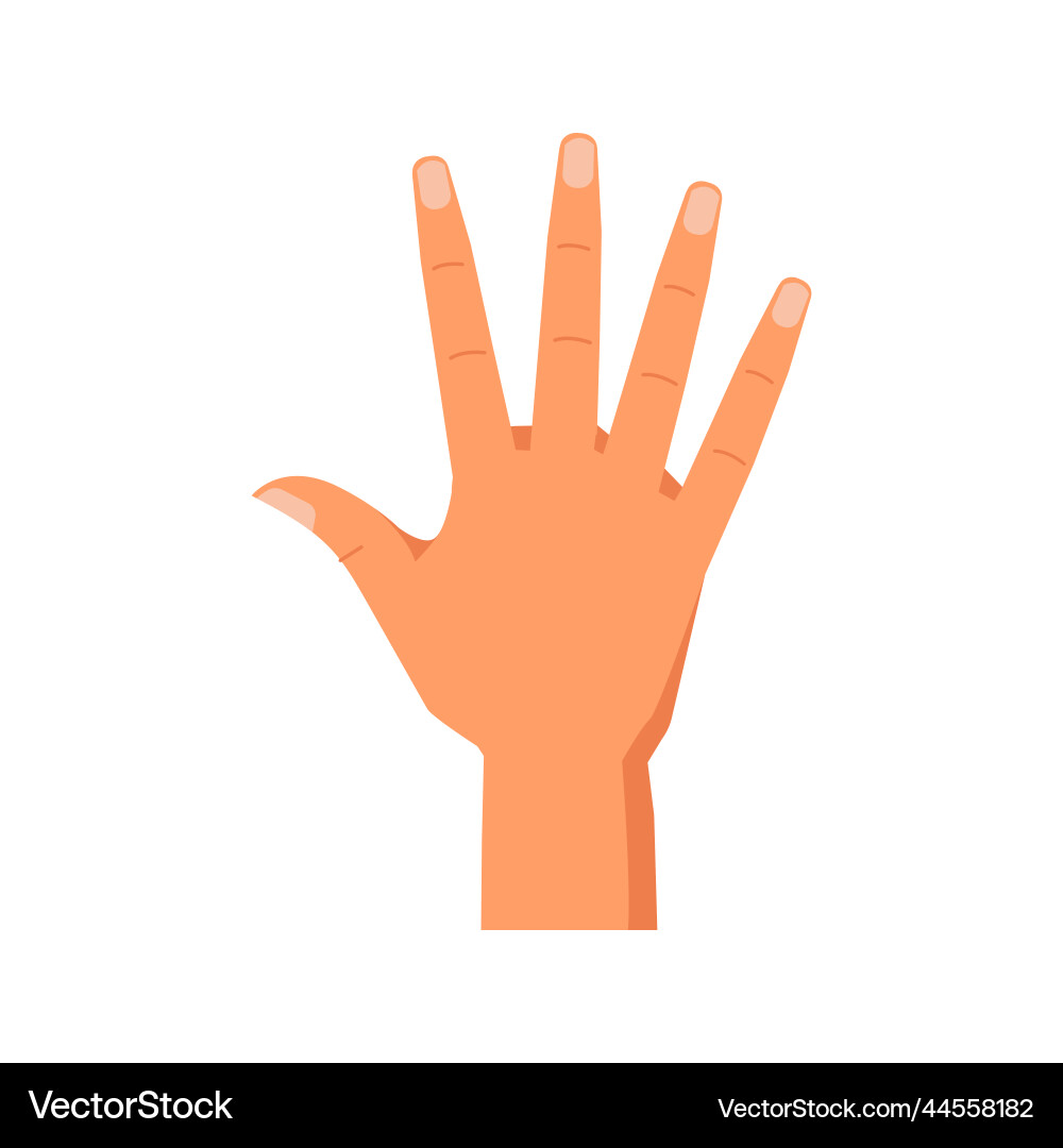 Hand showing number five with raised fingers Vector Image