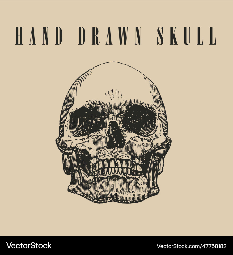 Retro skull hand drawn vintage design Royalty Free Vector