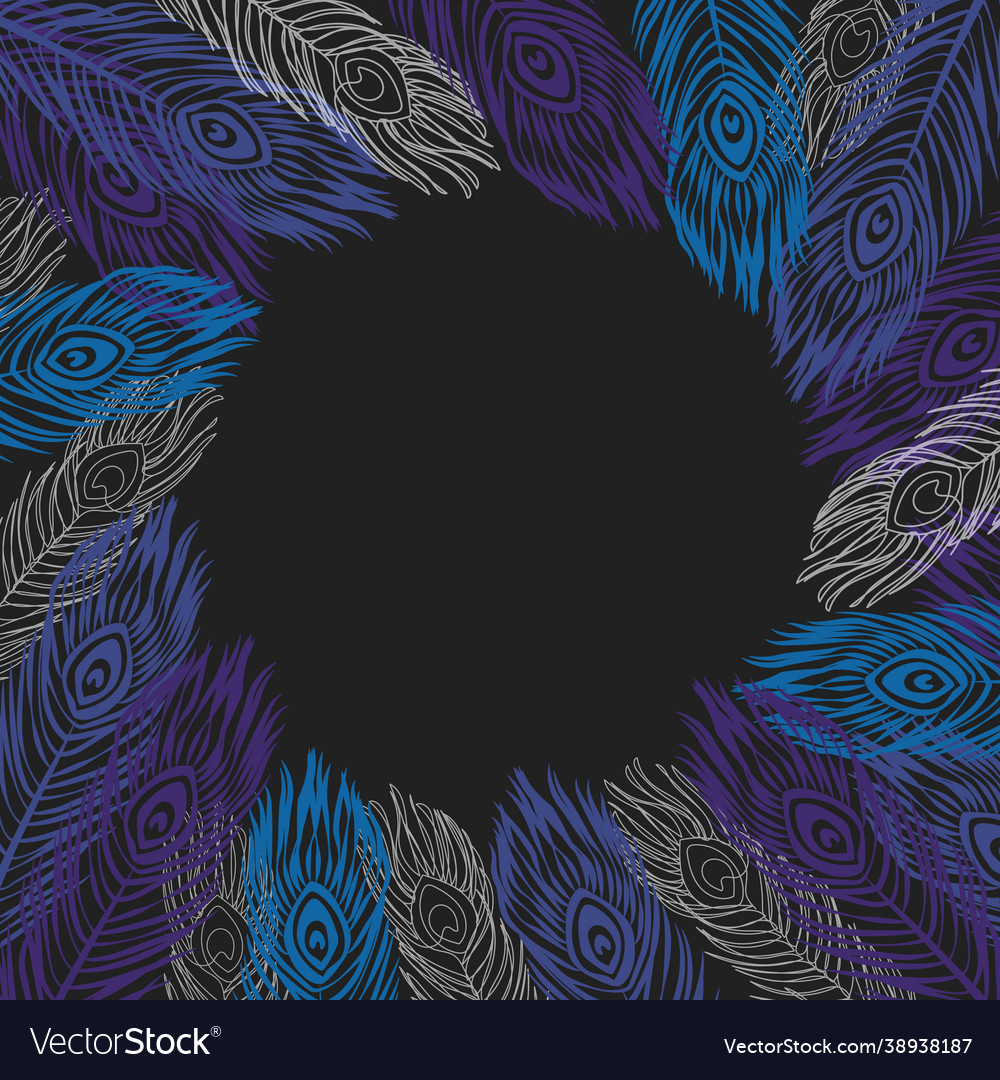 Outlined Peacock Feathers On Black Background Vector Image