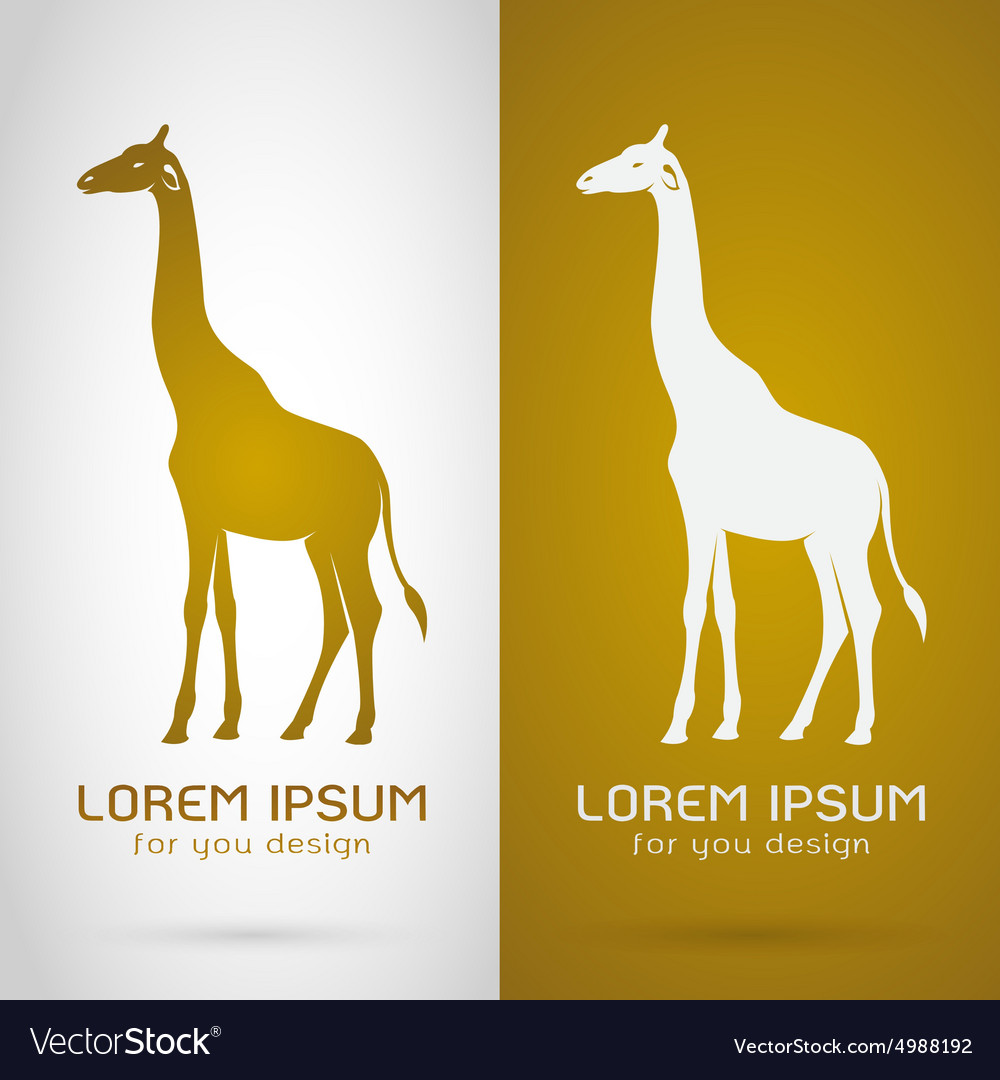 Giraffe Royalty Free Vector Image - VectorStock