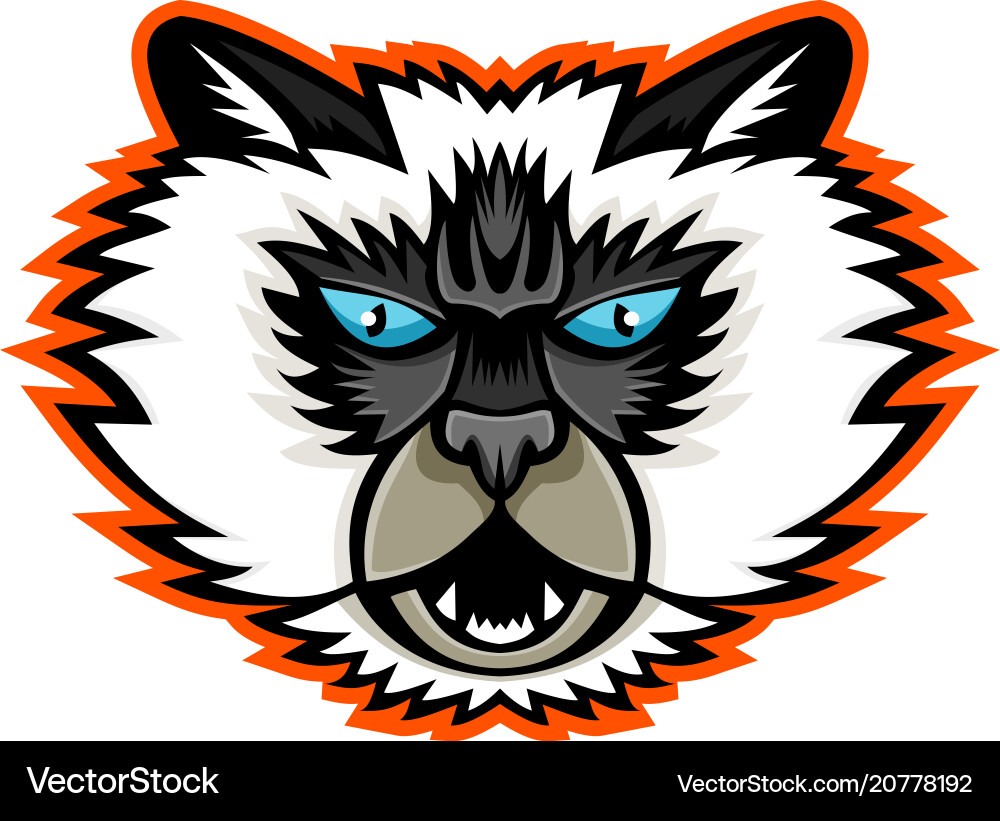 Himalayan cat mascot Royalty Free Vector Image
