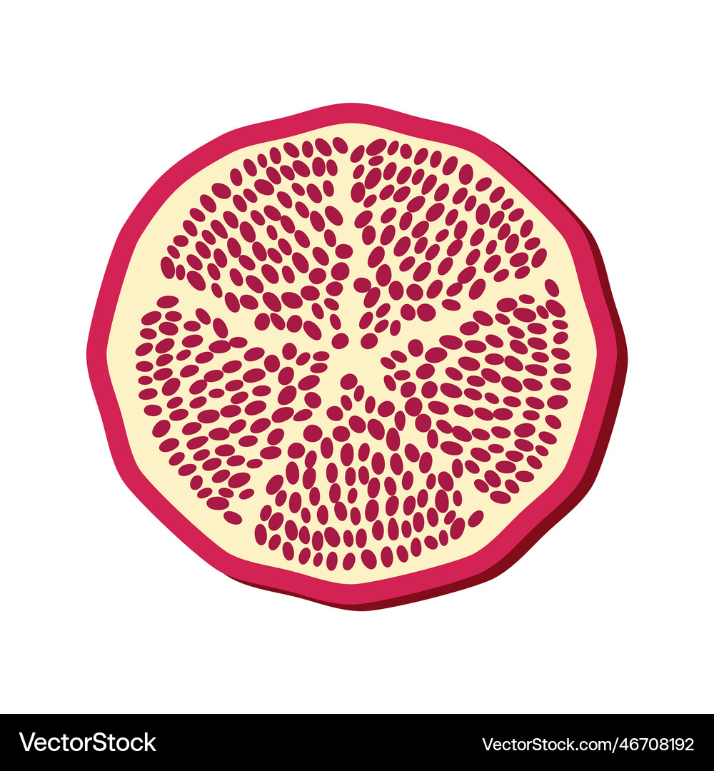 Pomegranate whole and pieces cut with seeds Vector Image