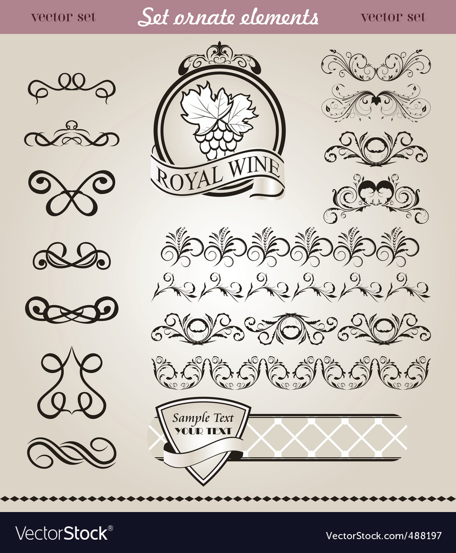 Floral design elements Royalty Free Vector Image
