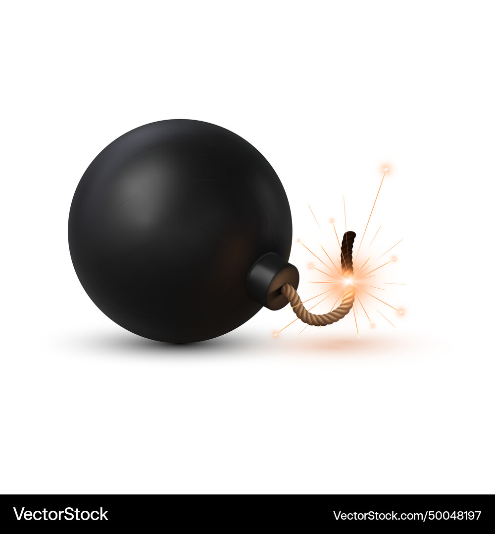 Realistic bomb with burning fuse isolated Vector Image