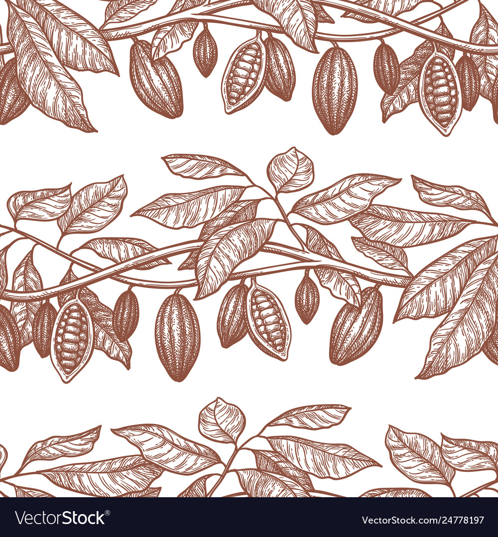Seamless pattern with cocoa Royalty Free Vector Image