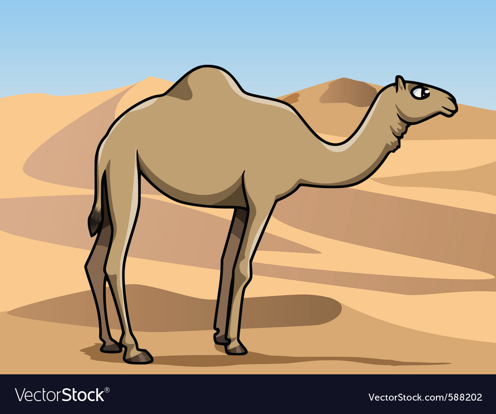 Camel Royalty Free Vector Image - VectorStock