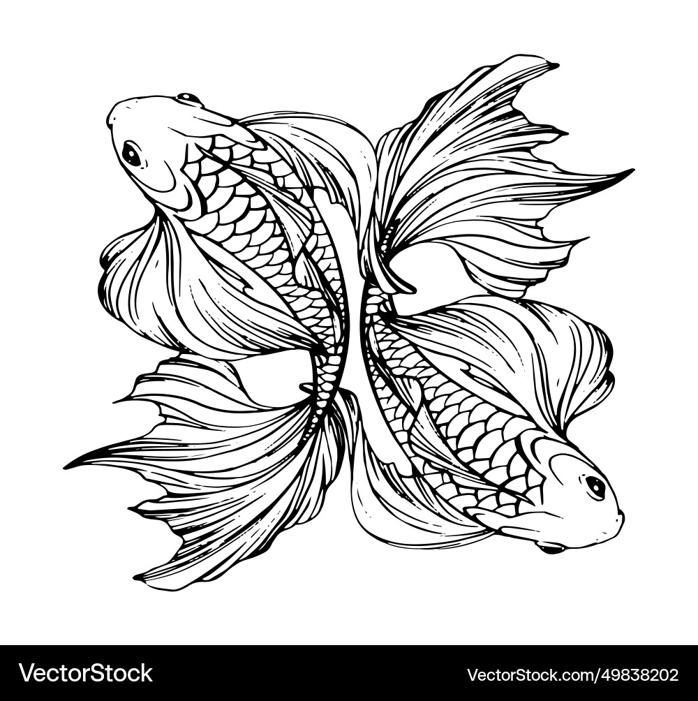 Two beautiful magical fish with long fins Vector Image