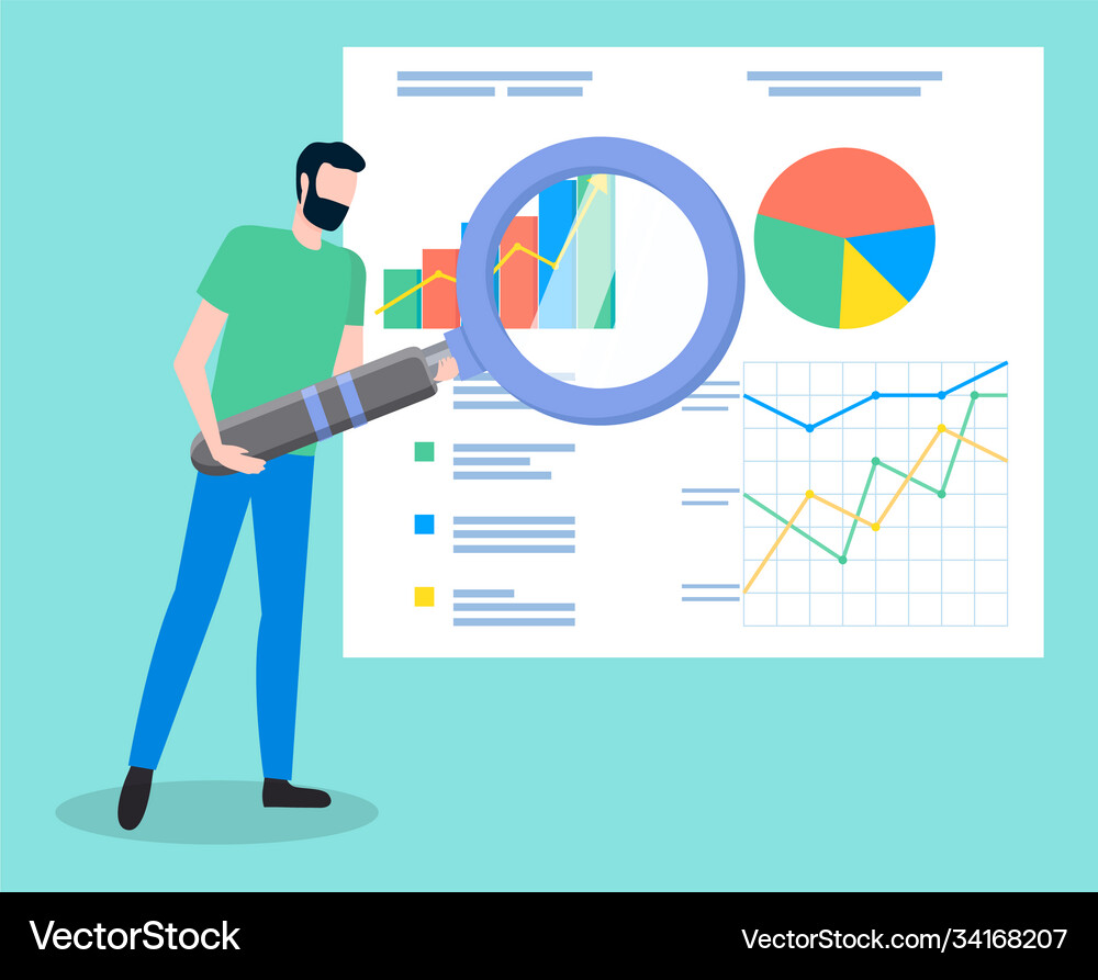 Project management and financial report strategy Vector Image