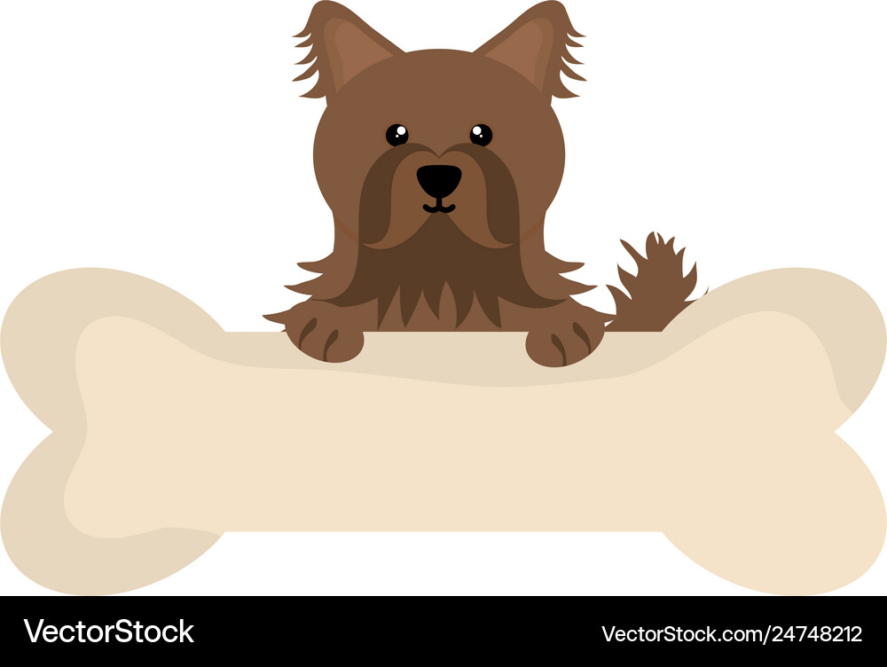 Cute little dog pet with bone Royalty Free Vector Image