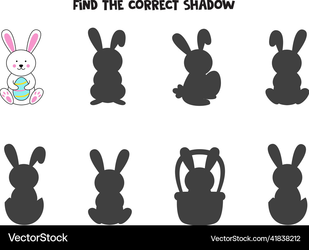 Find the correct shadow of cute easter bunny Vector Image