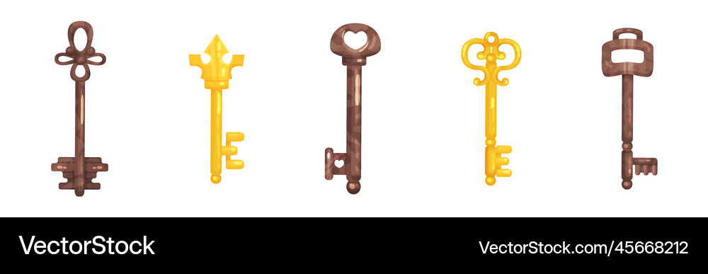 Golden and copper key as device for closing Vector Image
