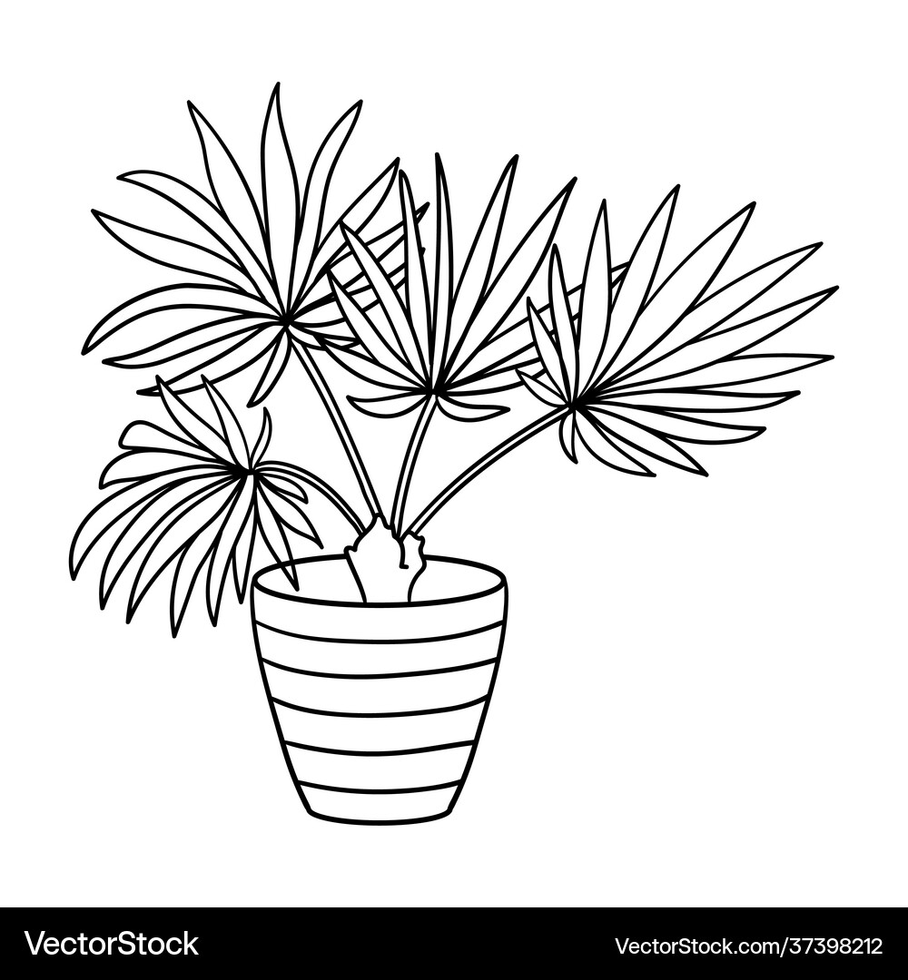 Potted houseplant coloring page Royalty Free Vector Image