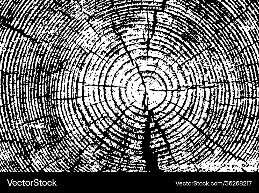 Wooden rings nature background Royalty Free Vector Image
