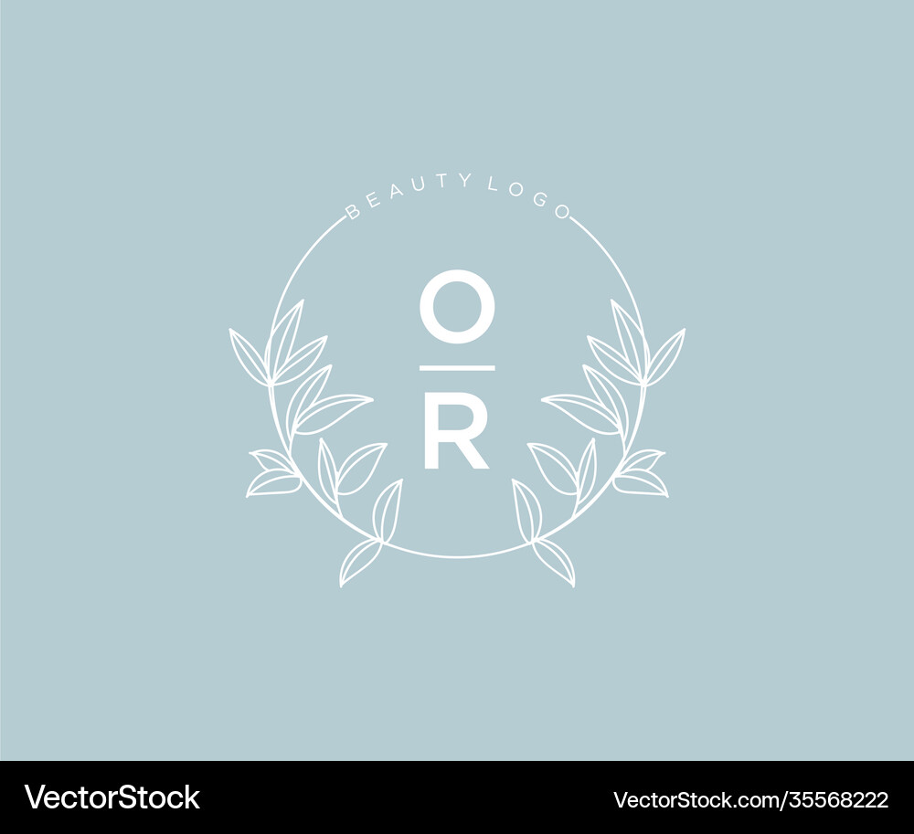 Initial or letters beautiful floral feminine Vector Image