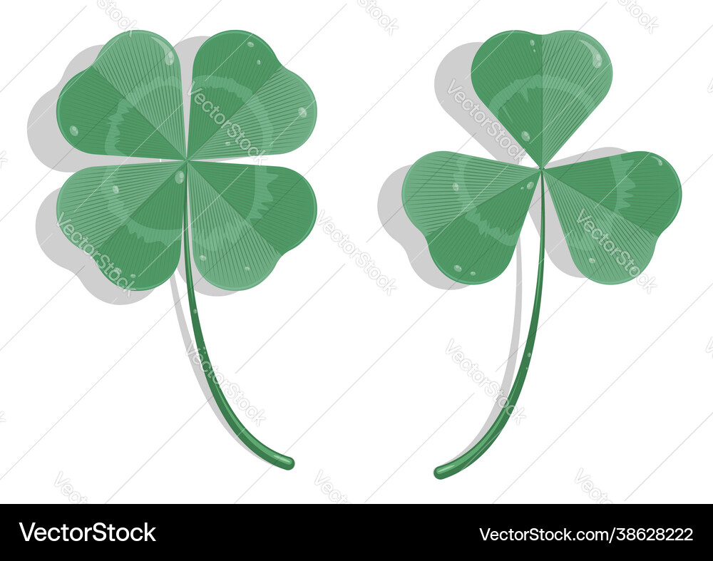 Realistic three and four leaf clover in cartoon Vector Image