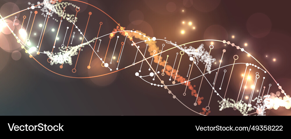 Science template wallpaper or banner with a dna Vector Image