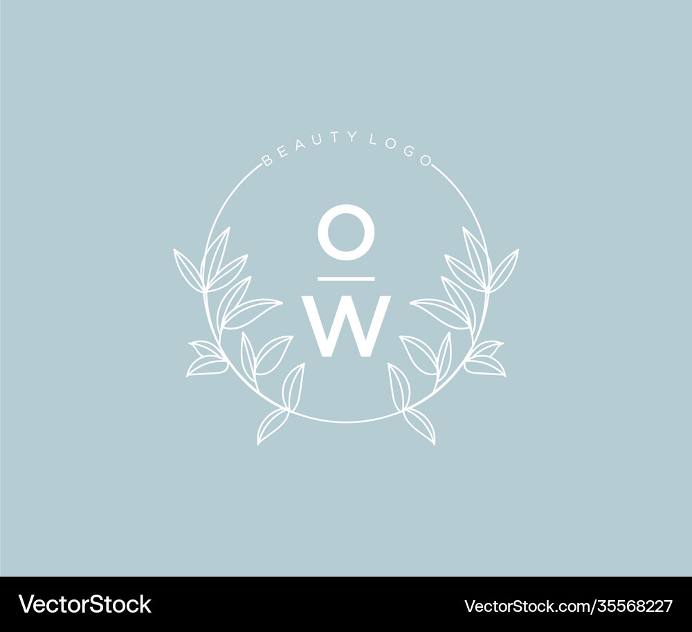 Initial ow letters beautiful floral feminine Vector Image