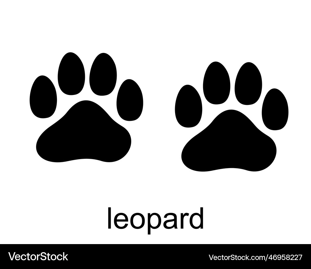 Leopard footprint track black silhouette Vector Image