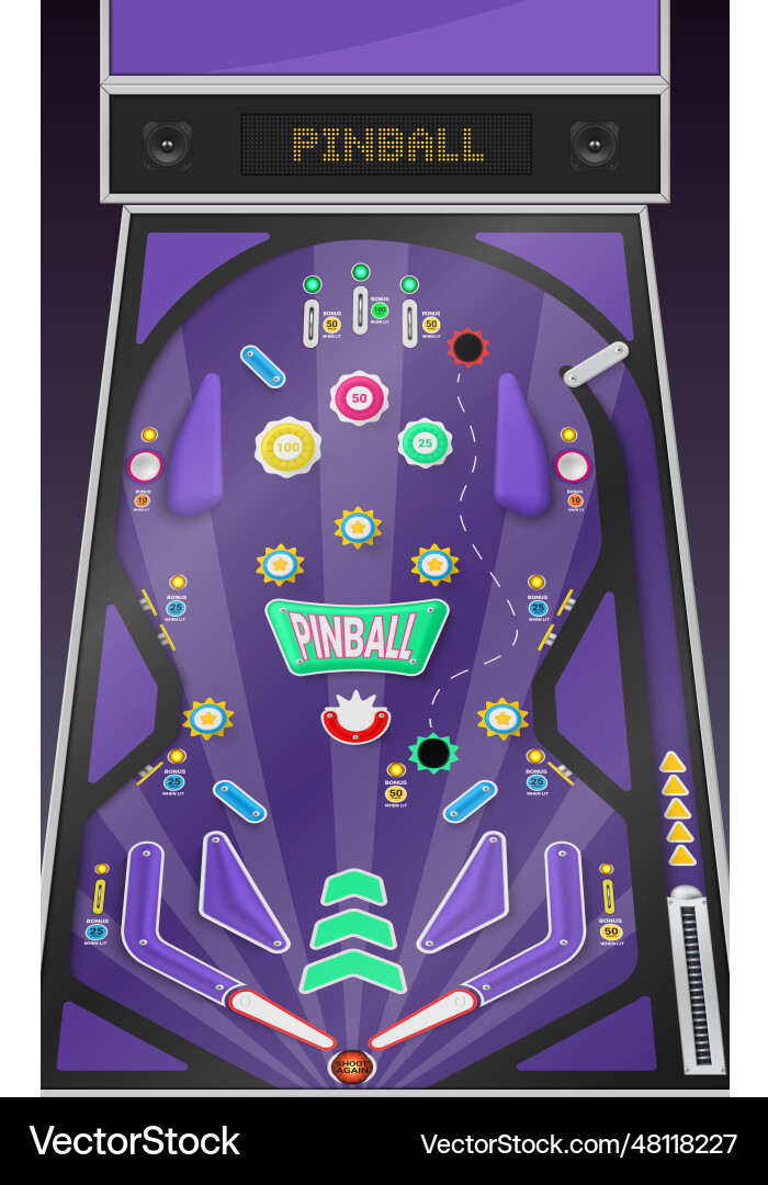 Pinball machine classic field arcade game with Vector Image
