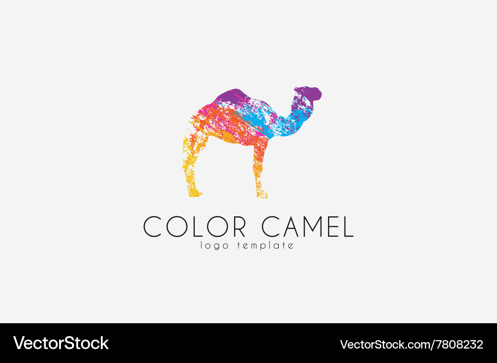 Camel logo color logo design animal logo Vector Image