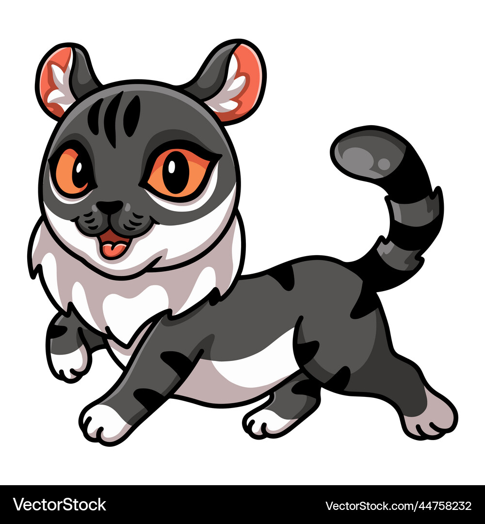 Cute american curl cat cartoon Royalty Free Vector Image